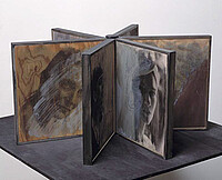 Jytte Rex: Skillelinjer